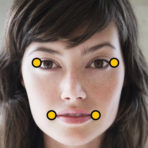 Morfo : CTL Crossroads